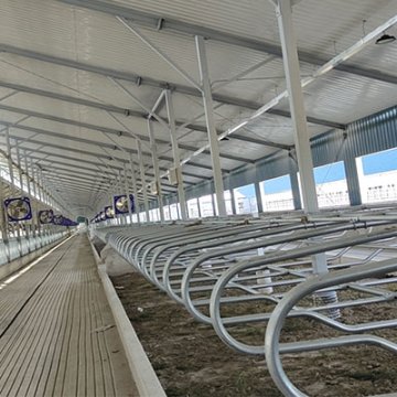 Cattle Farm Project | Efficient Cattle Farming Solutions for Optimal ...